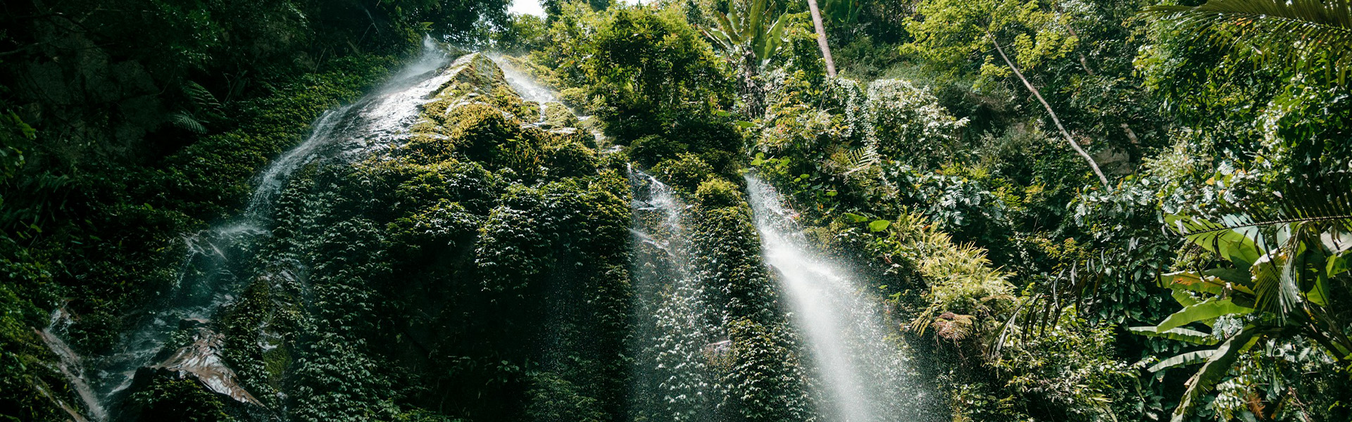 Malaysia Waterfall Day Tour from KL [Mt Ophir Waterfall + Tangkak ...